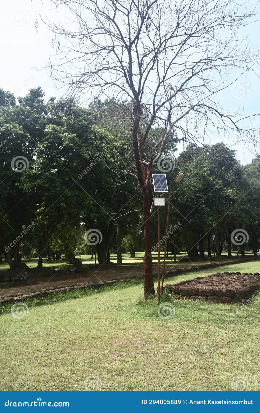 Generate Electricity To Power Electricity for Lighting by Solar Cell ...