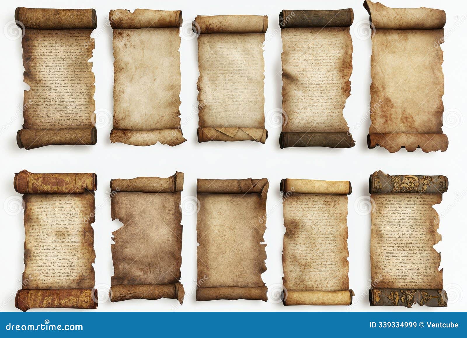 Generate a High-resolution Digital Image of Twelve Different Aged ...