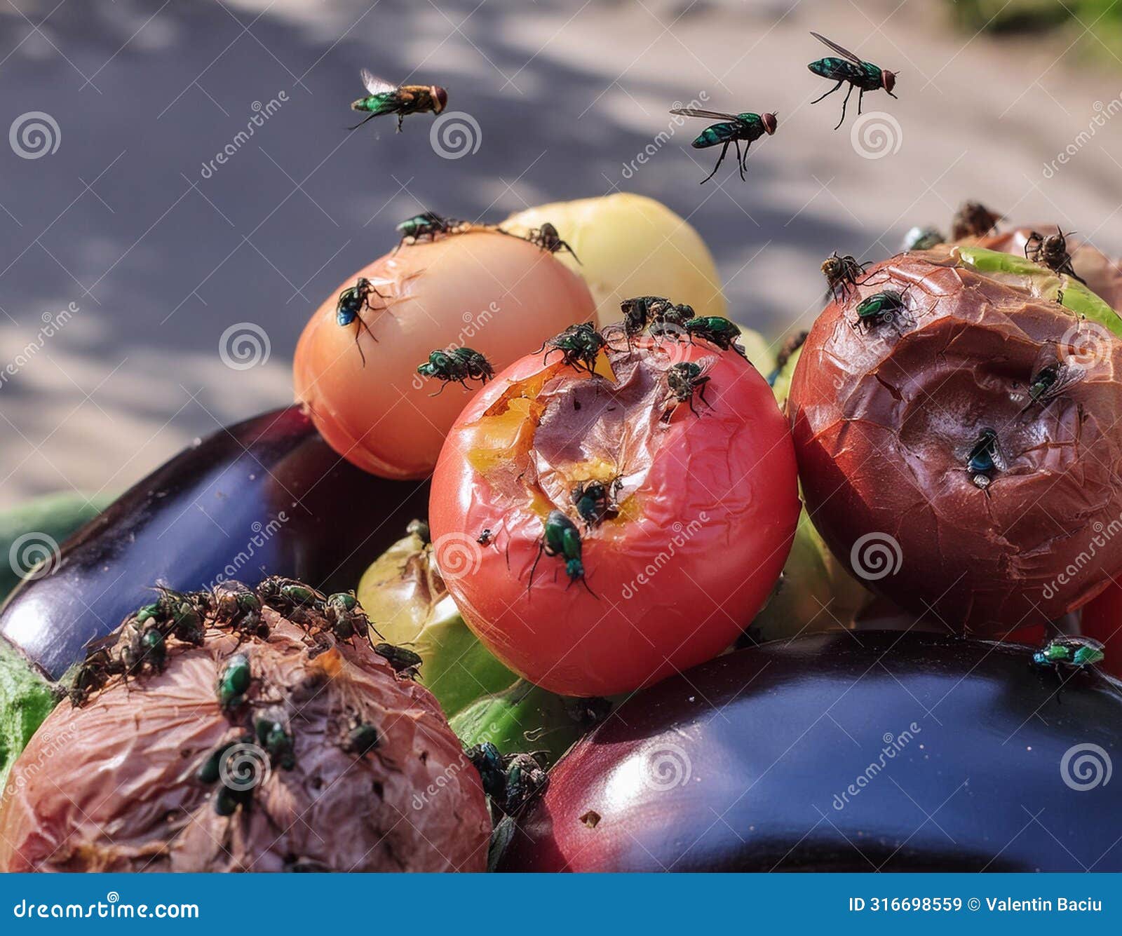 Rotting Cartoons, Illustrations & Vector Stock Images - 4188 Pictures ...