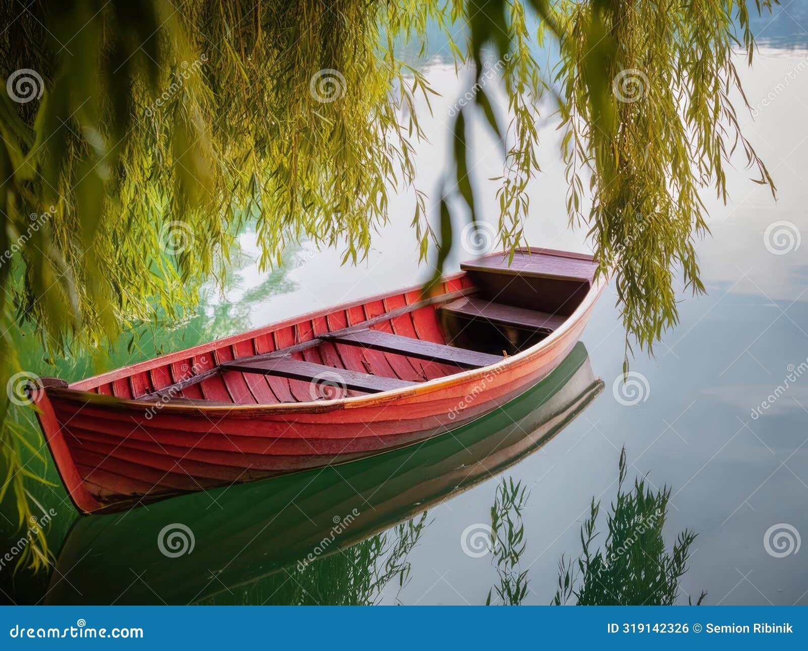In the Green Willow Tree, There is an Ancient Wooden Boat on the Calm ...
