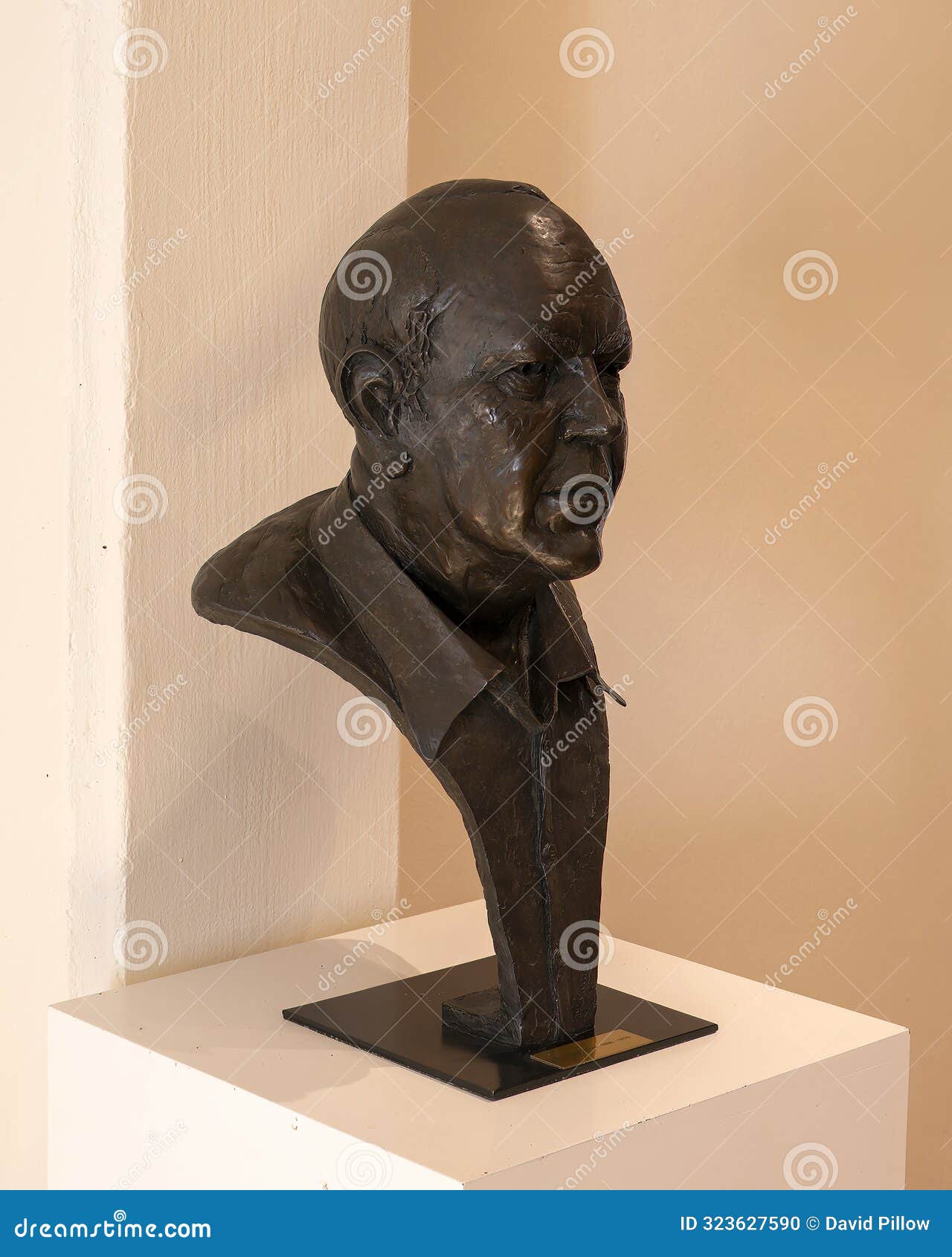 Bronze Bust Of Paul Sauer, Founder Of The Kanonkop Estate, A Winery In ...