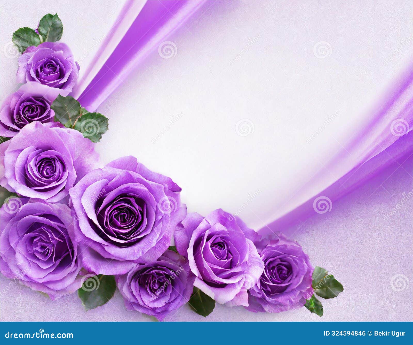 Purple Roses Corner Border Designs. Stock Illustration - Illustration ...