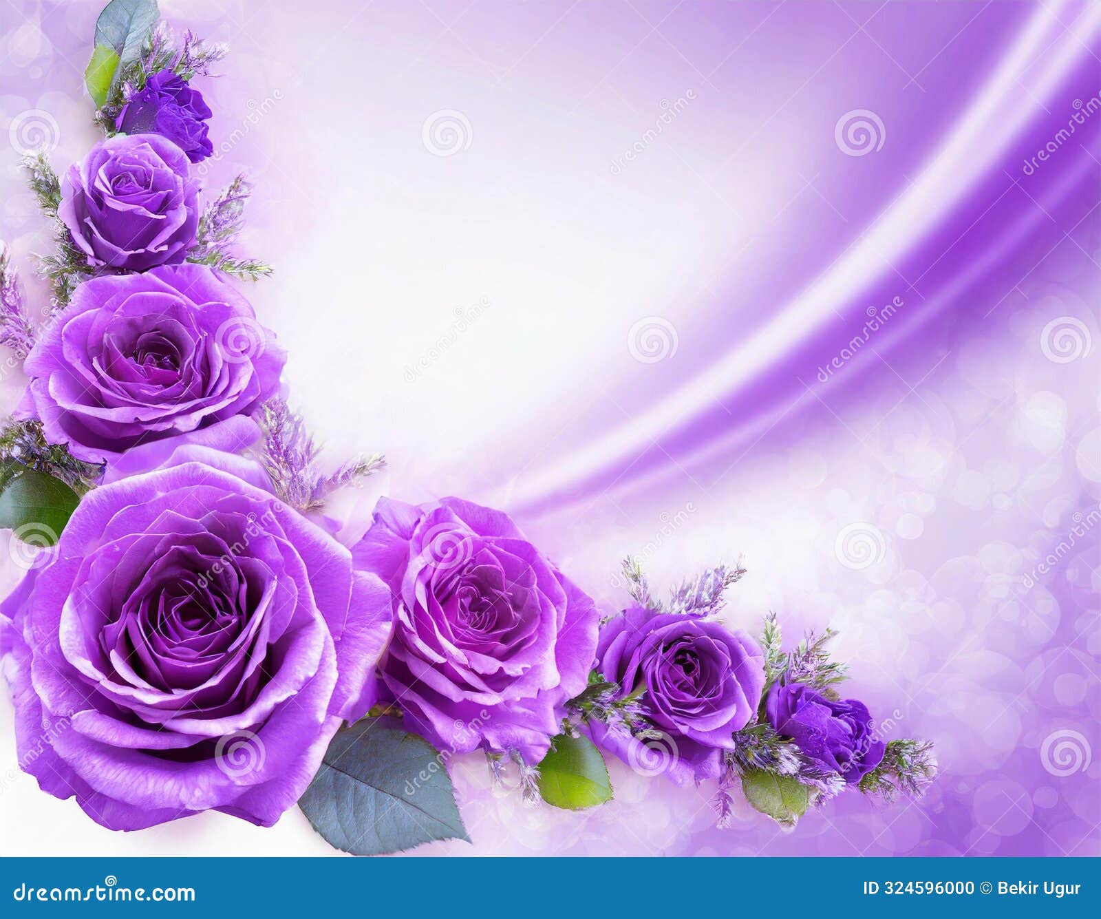 Purple Roses Corner Border Designs. Stock Illustration - Illustration ...
