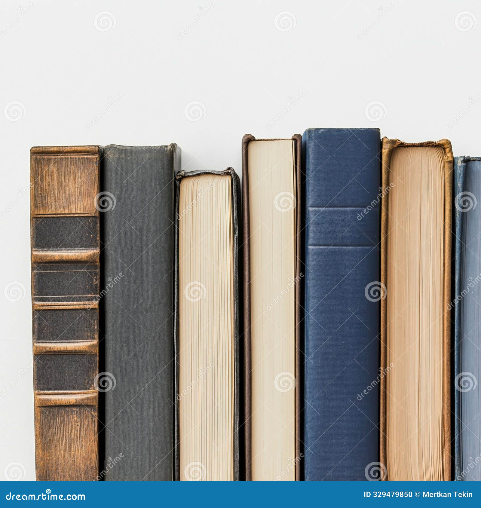 Encyclopedia Background Cartoon Vector | CartoonDealer.com #22936343