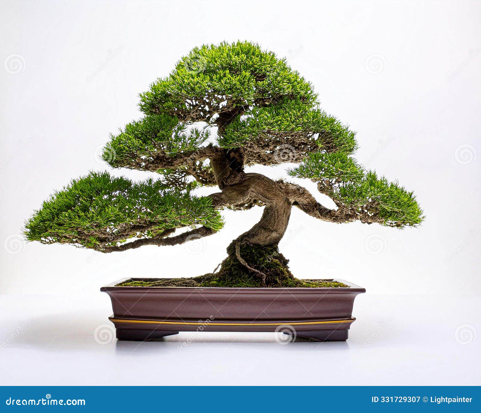 Bonsai Tree Grow On Mountainous Cliff AI Generated Stock Photography ...