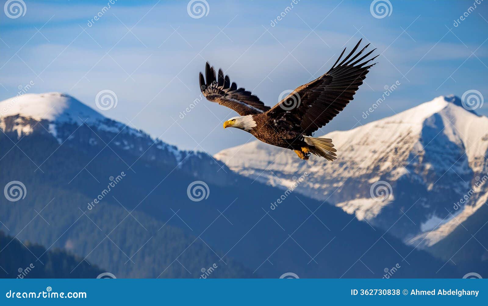 AI-Generated, Bald Eagle And US Flag, Independent Day, Freedom Stock Photography | CartoonDealer ...