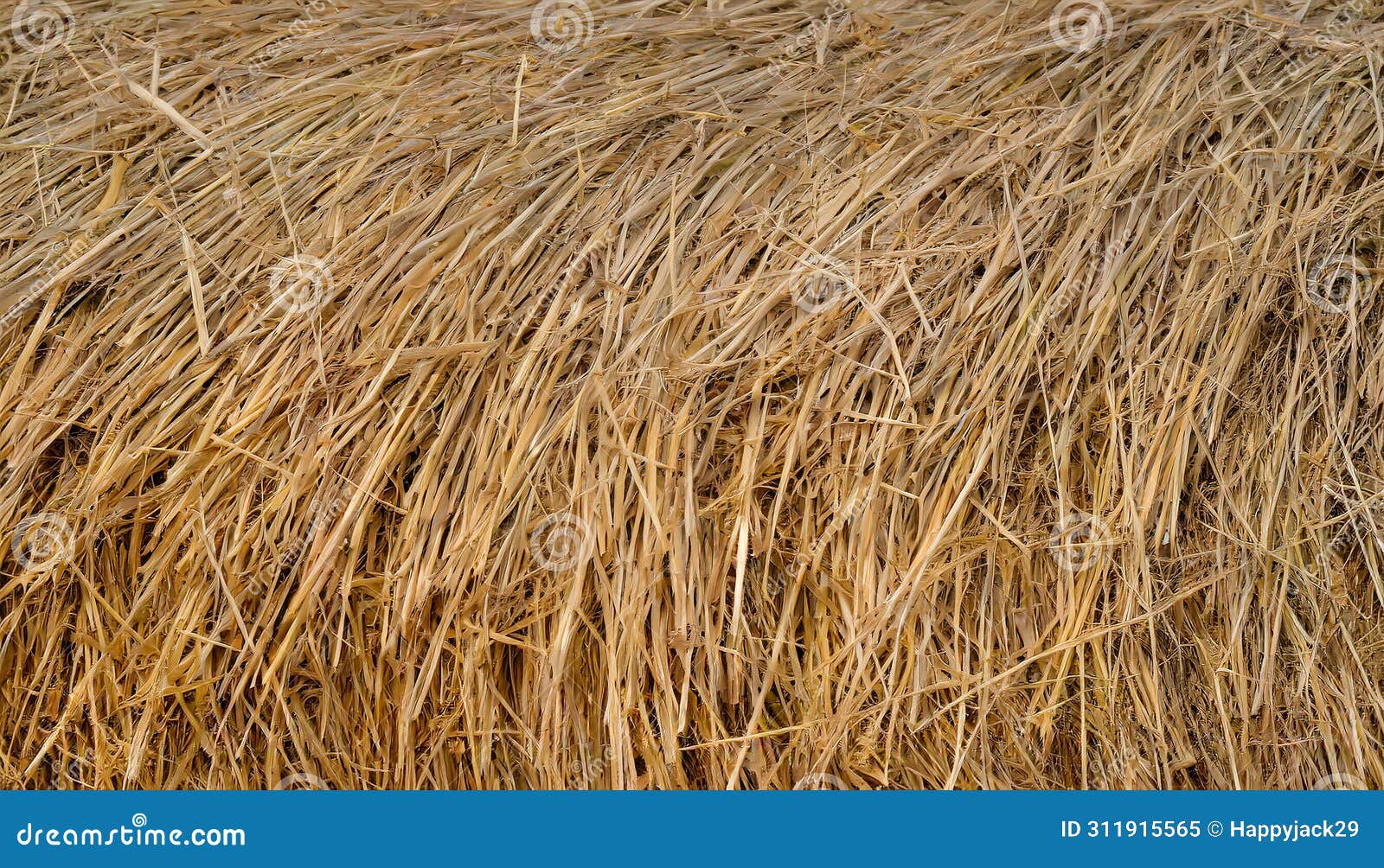 Abstract Texture of Hay Bale, Straw Backdrop, Dry Grass Background ...