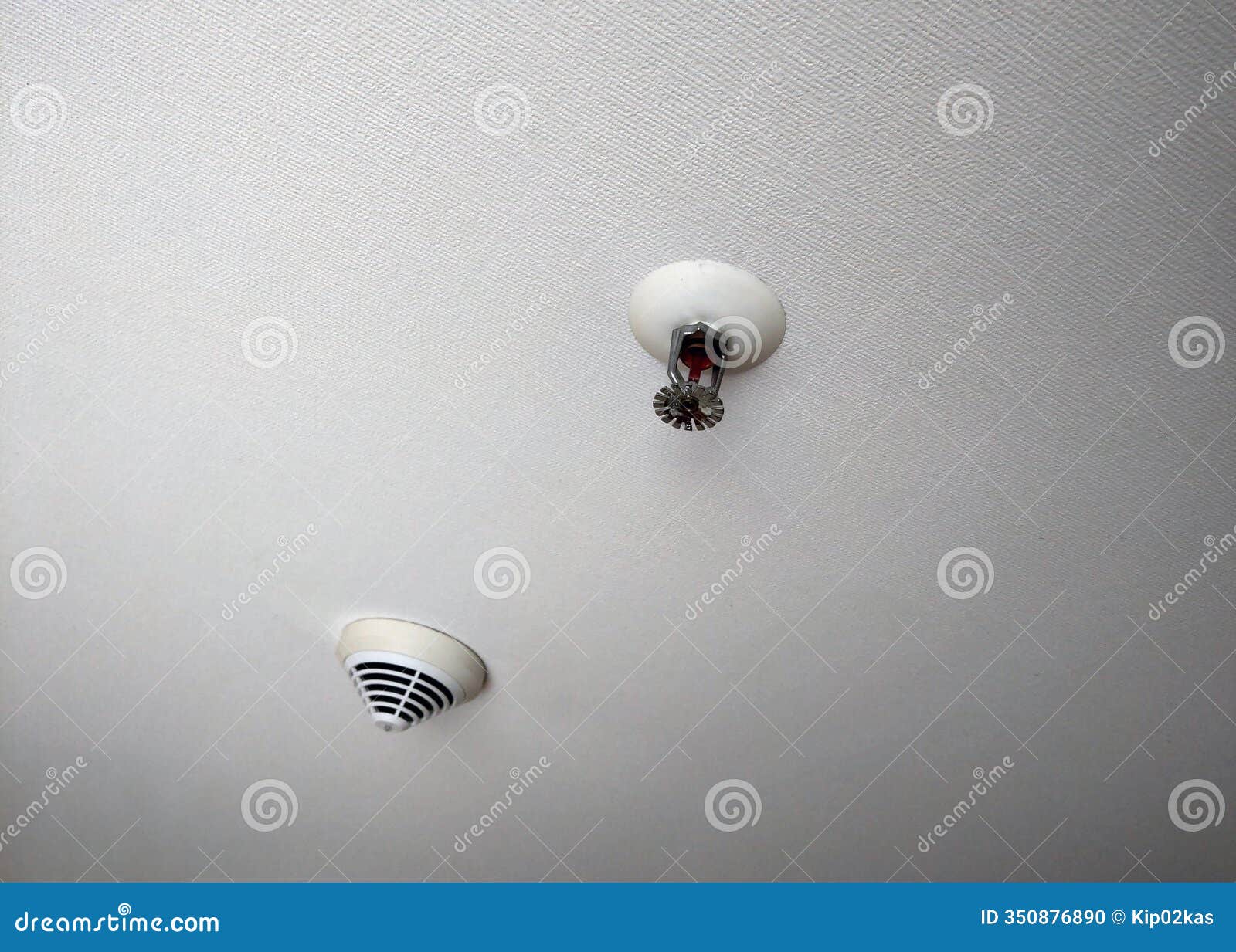 Emergency Safety Equipment Featuring Sprinkler and Smoke Detector on ...
