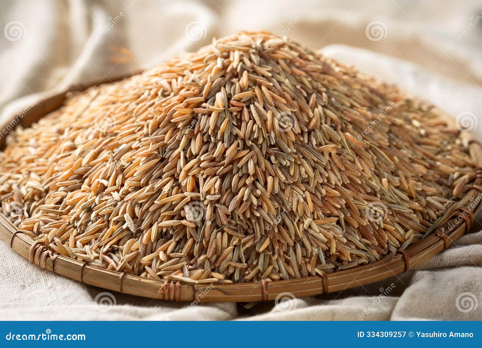 Generated Image?Freshly Harvested Rice Stock Image - Image of grass ...