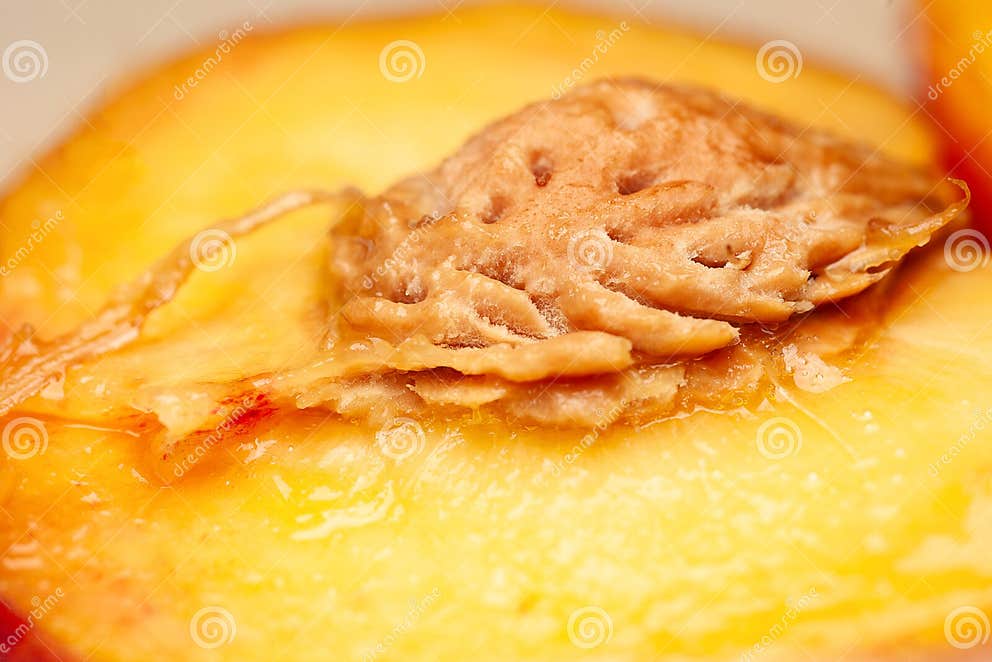 Peach Texture. the Flesh of a Ripe Peach with Seed. Selective Focus ...