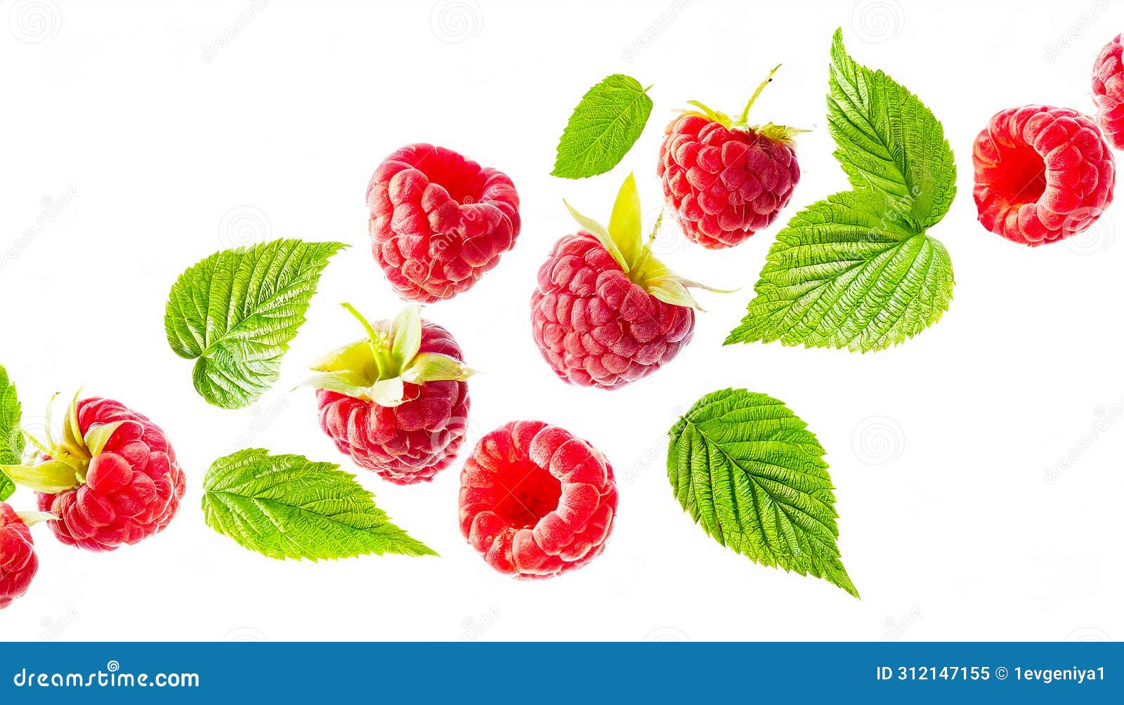 Raspberries Falling or Flying in the Air with Green Leaves Isolated on ...