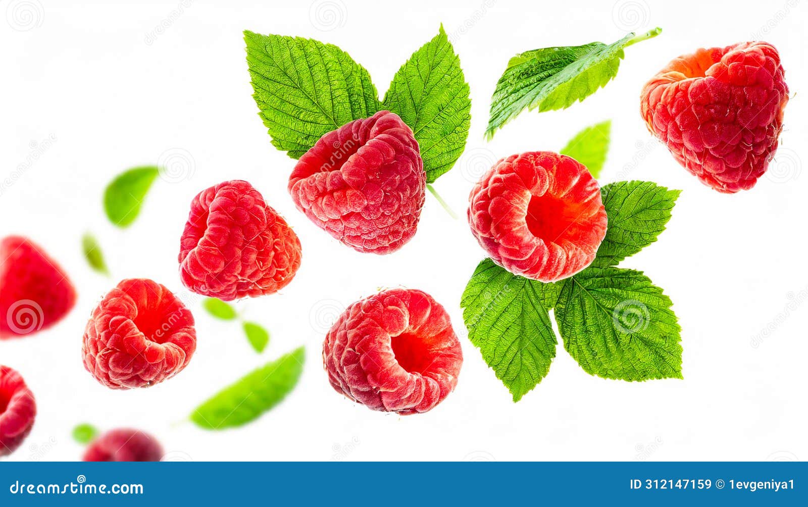 Raspberries Falling or Flying in the Air with Green Leaves Isolated on ...