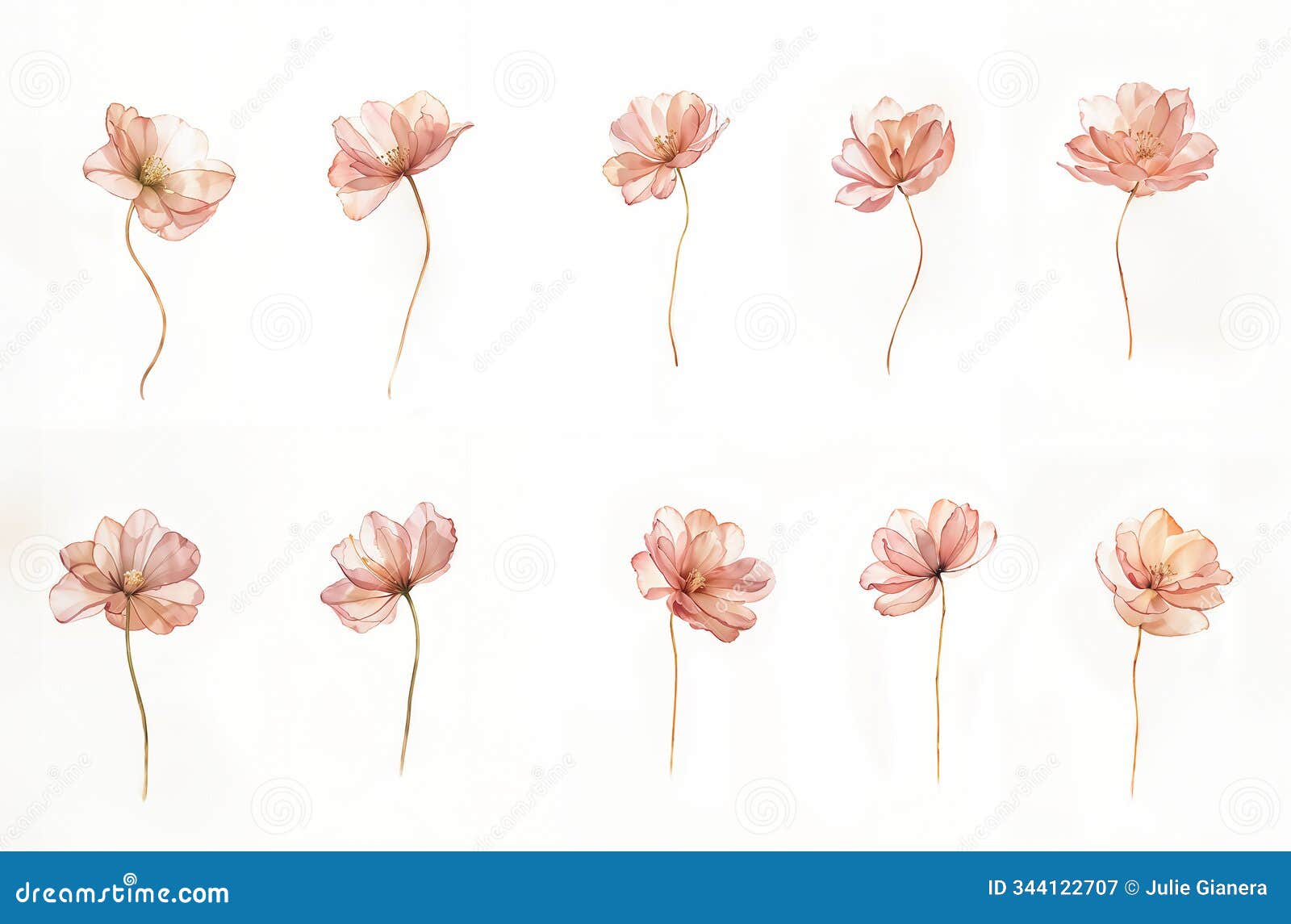 Watercolor Translucent Pink Flowers Stock Illustration - Illustration ...
