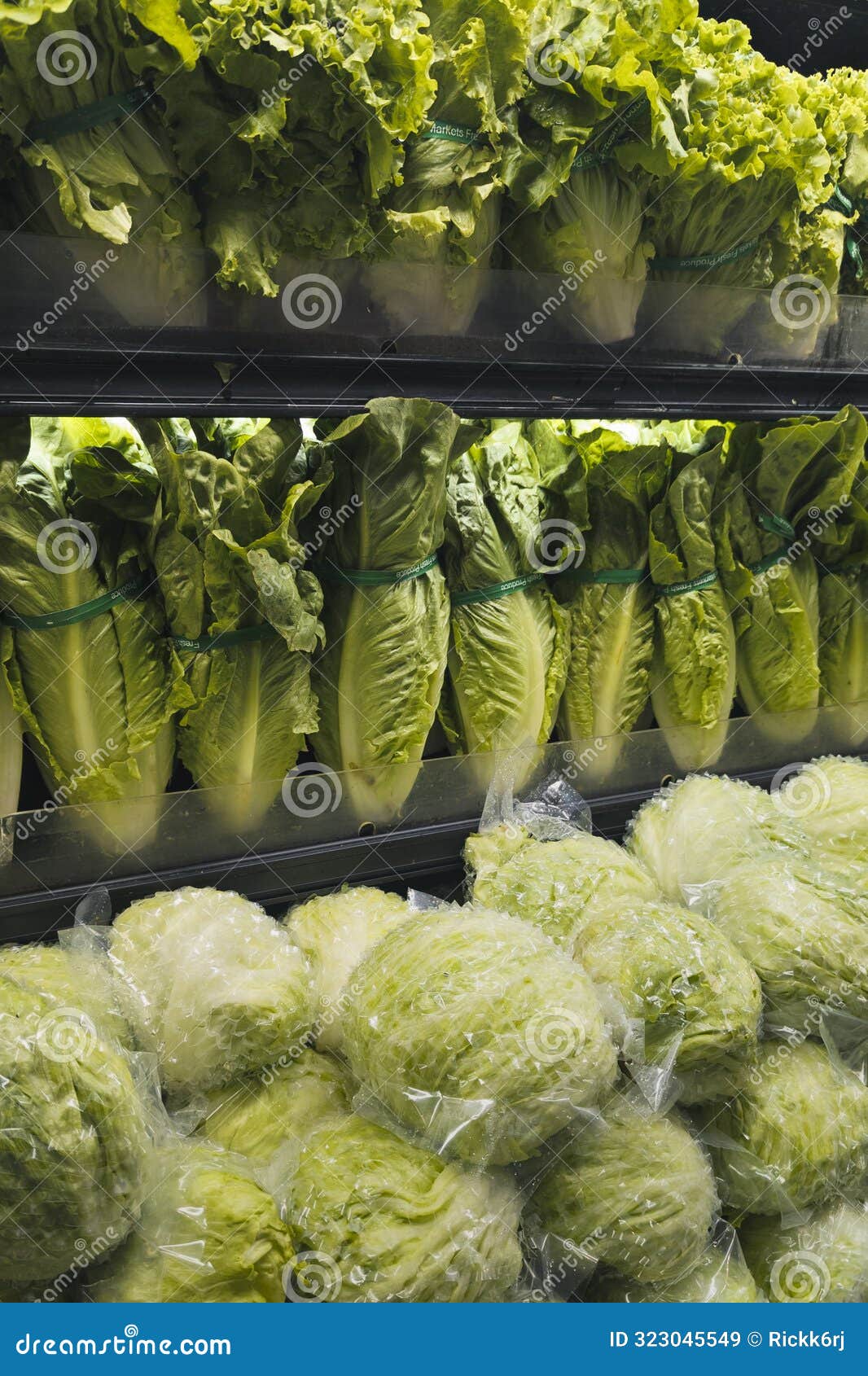 A Variety of Fresh Lettuce on Display at a Supermarket Stock Image ...