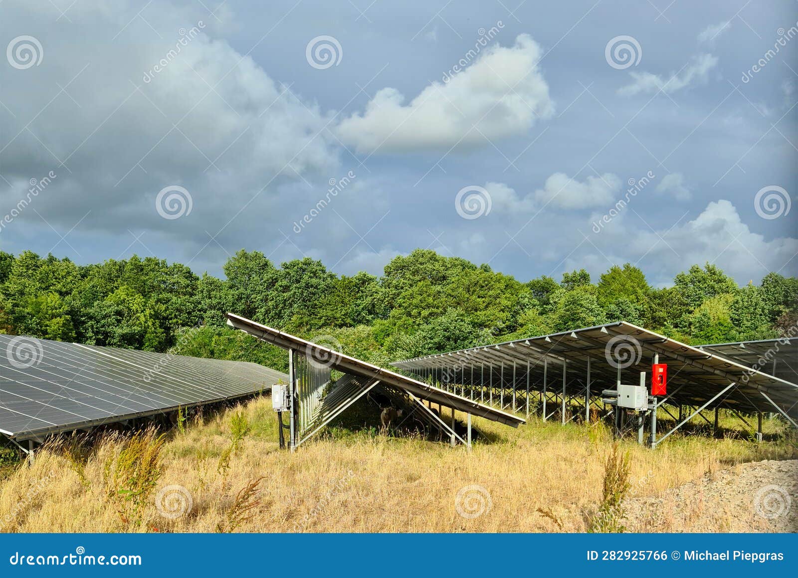 Generating Clean Energy with Solar Modules in a Big Park in Northern ...