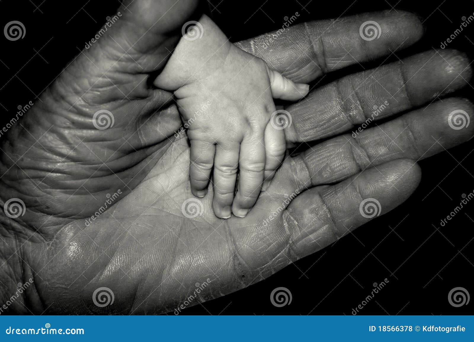 Generations stock photo. Image of young, isolated, lovely - 18566378