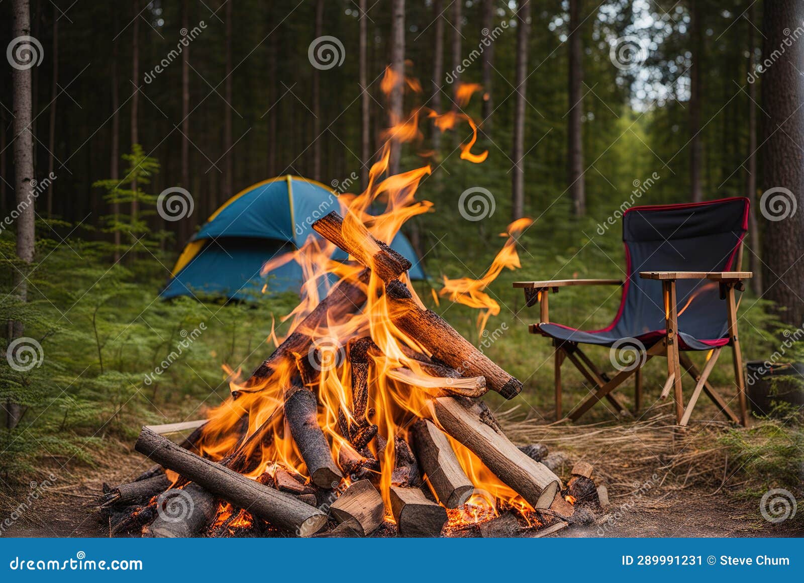 Generative AI, Camping and Bonfire in the Forest Stock Illustration ...