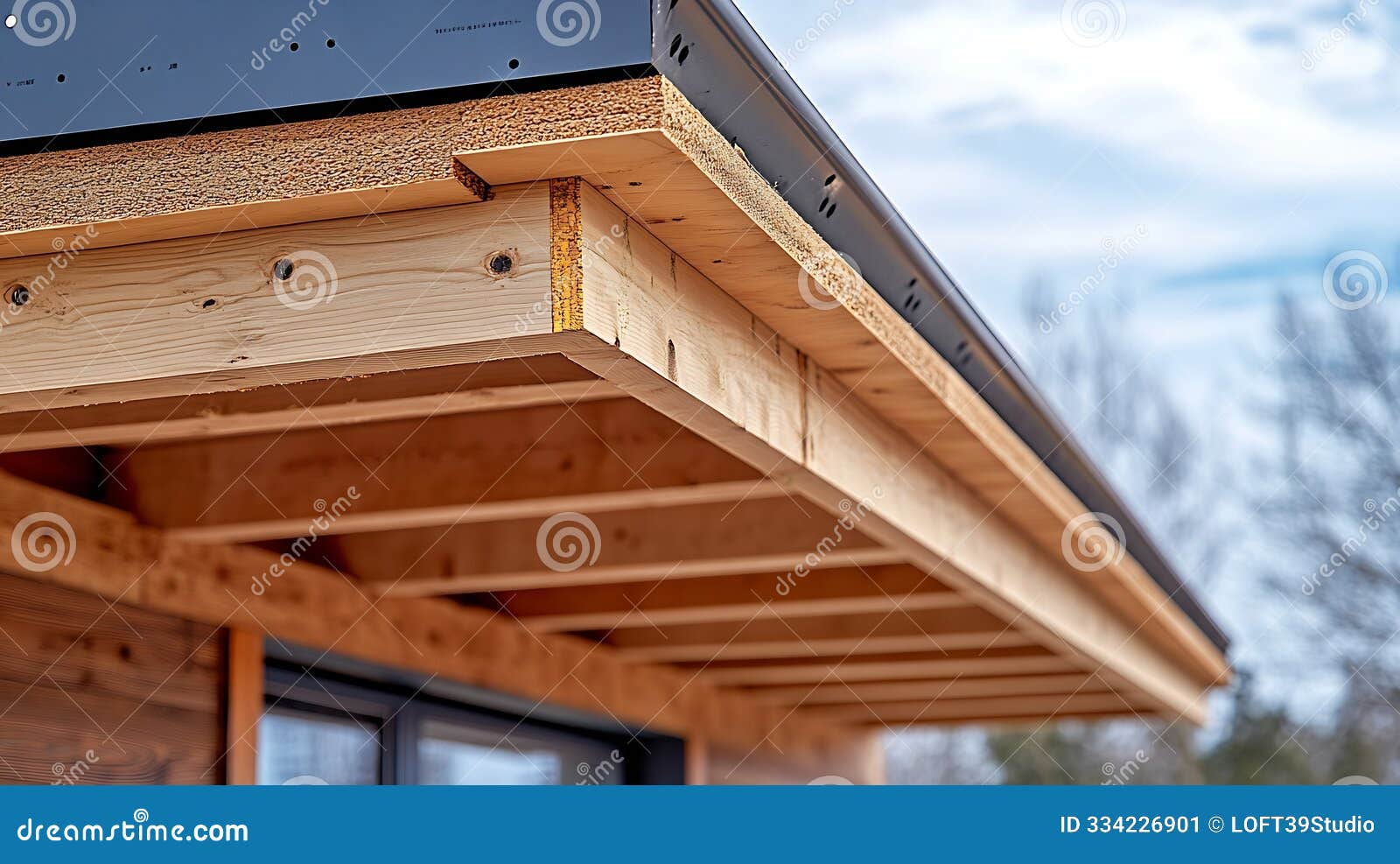 Generative AI Currently Joist Framework For House Is Being Installed ...