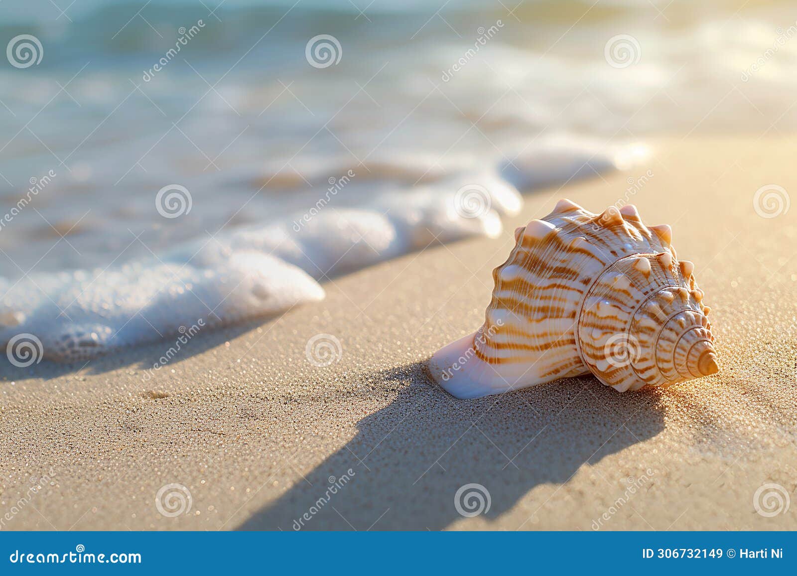 Generative AI Image of Conch Sea Shell on Seashore with Water Waves ...