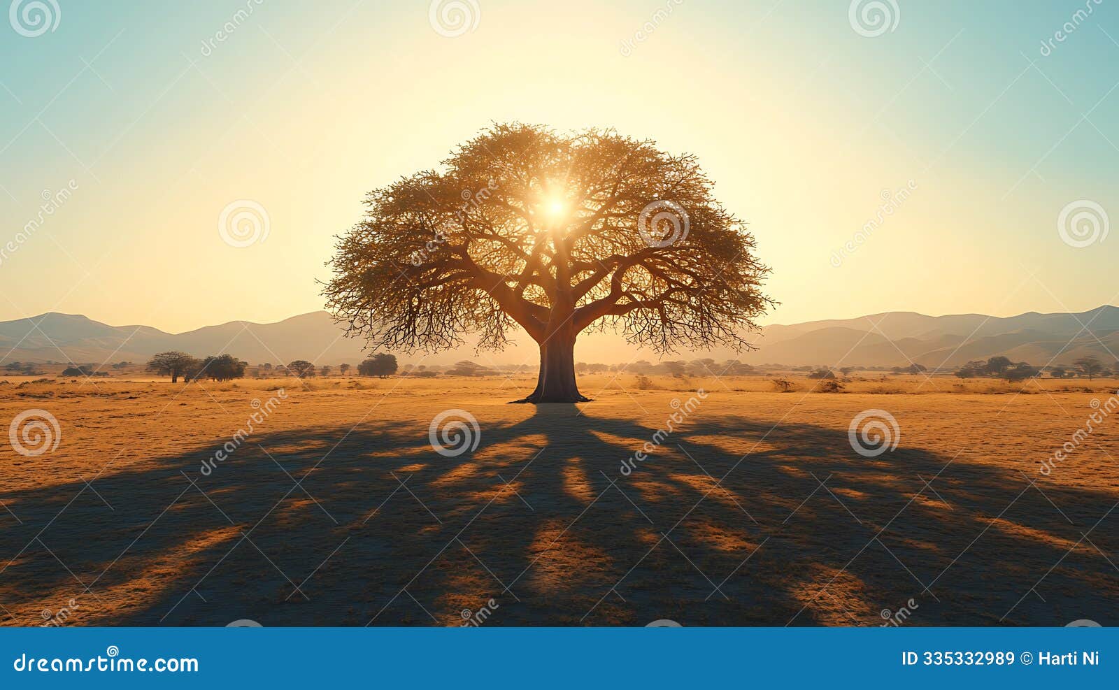 Generative AI Image of Desolate Barren Meadow Fragile Tree at Sunrise ...