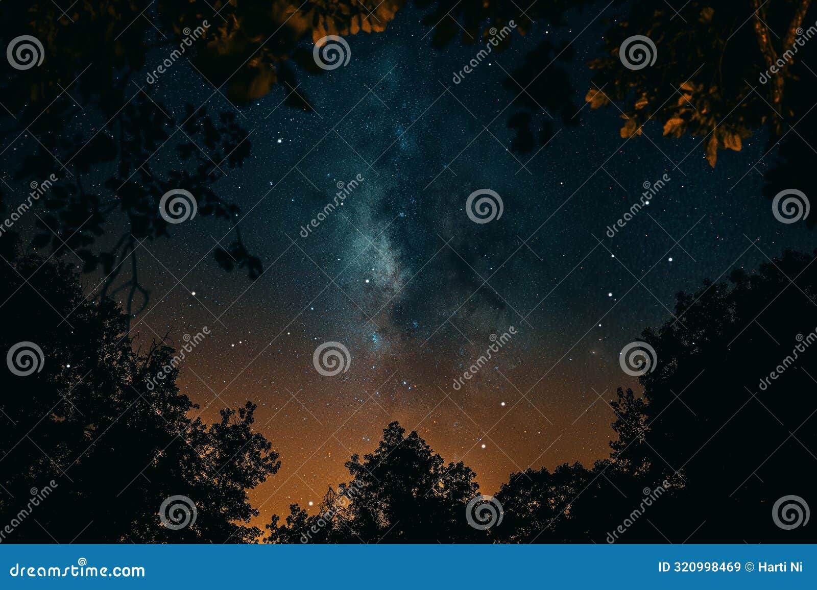 Generative AI Image of Frame of Trees in Forest with Milky Way Galaxy ...