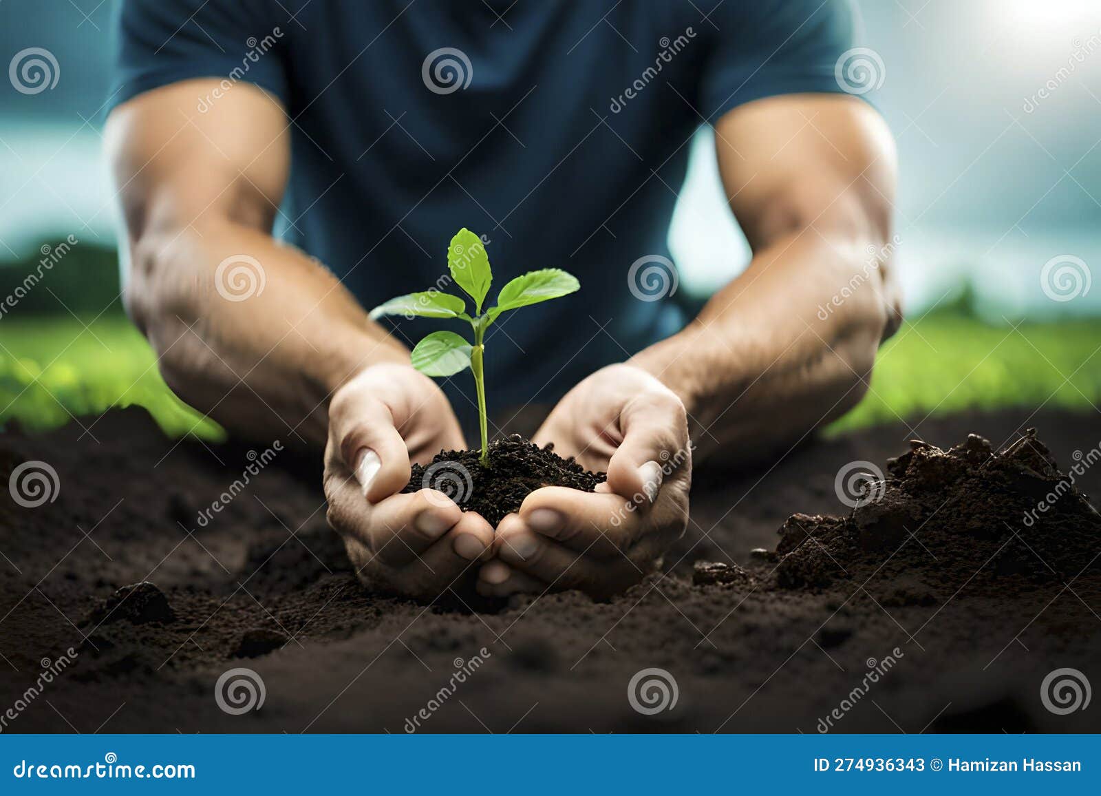 Plants Trees for Reforestation Program Stock Illustration ...