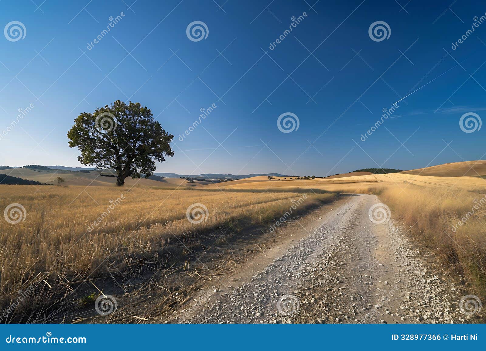 Generative AI Image of Path at Rustic Countryside Fertile Harvested ...