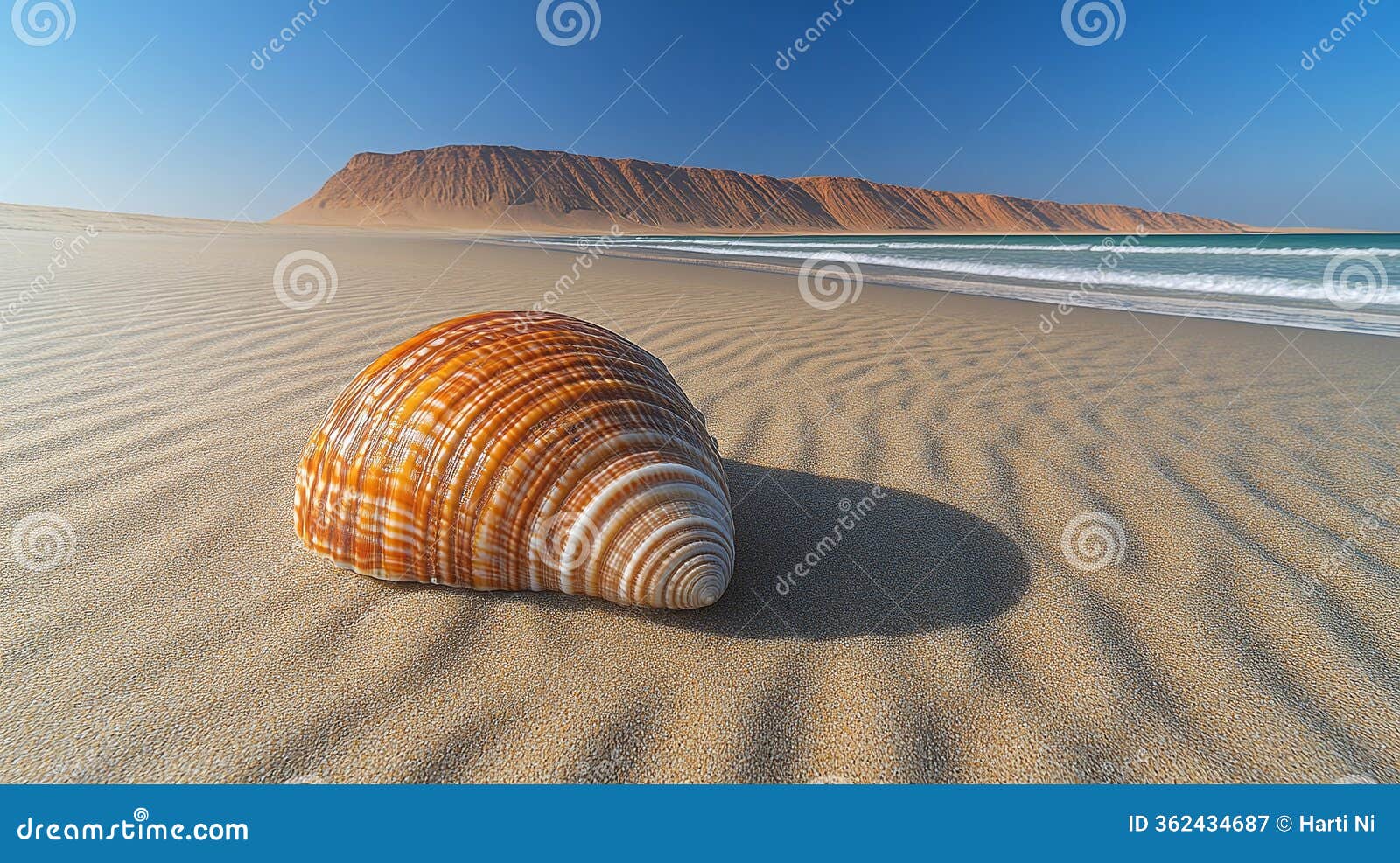 Generative AI Image of Shell on a Beach Landscape in Summer Stock ...