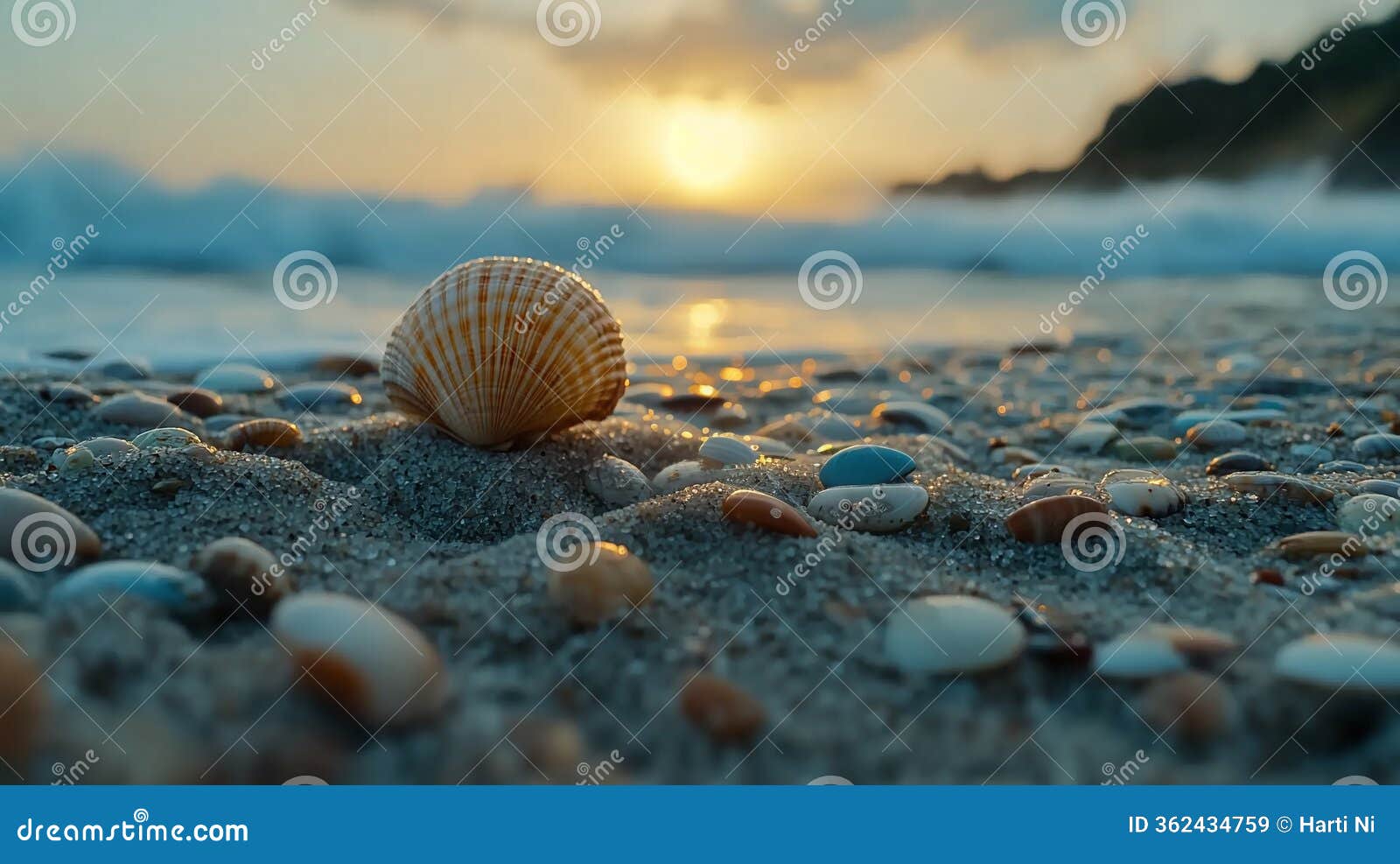 Generative AI Image of Shell on Beach Landscape with Sunset Stock ...