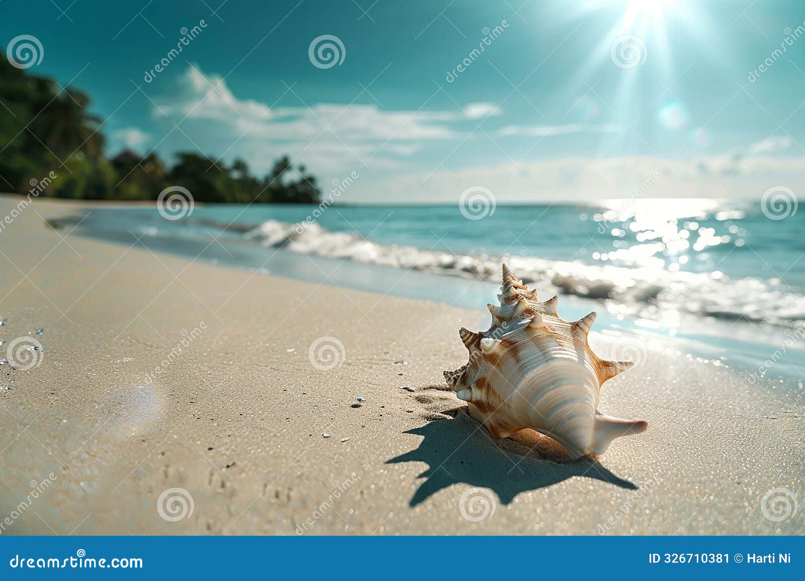 Generative AI Image of Shells on the Beach during the Day Wallpaper ...