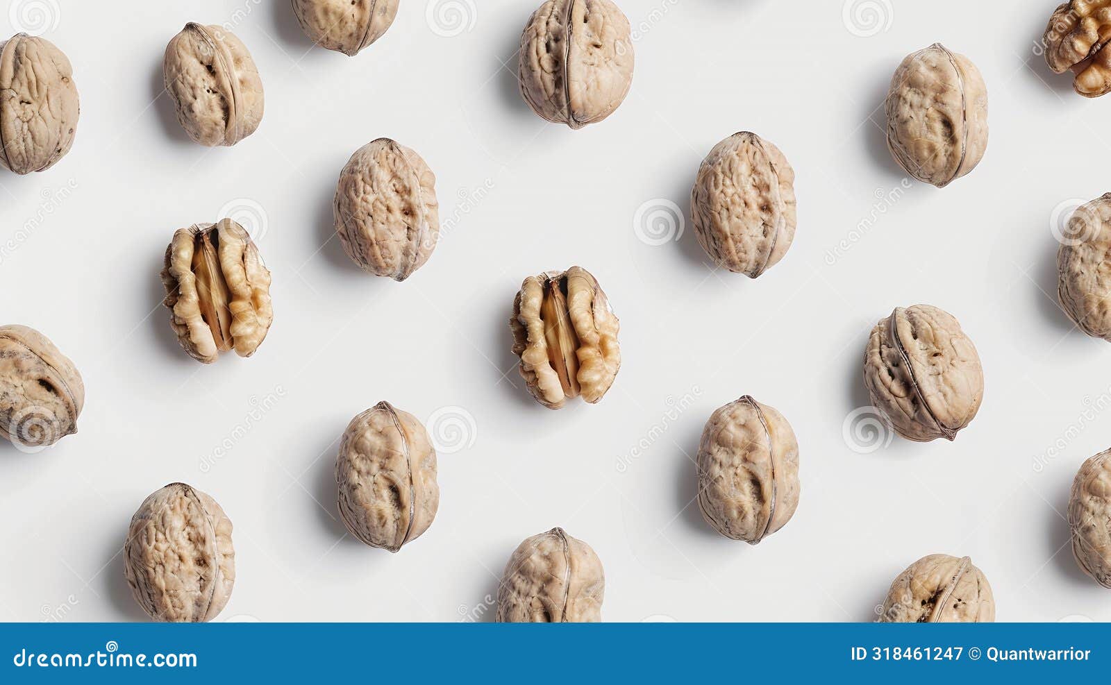 Generative AI Walnuts Isolated Walnut Kernel Nut on White Background ...