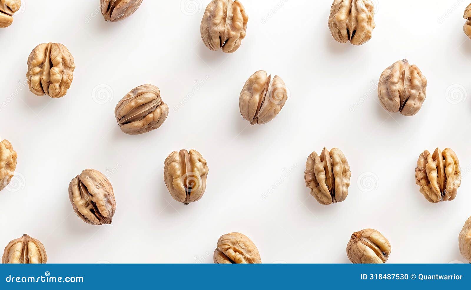 Generative AI Walnuts Isolated Walnut Kernel Nut on White Background ...