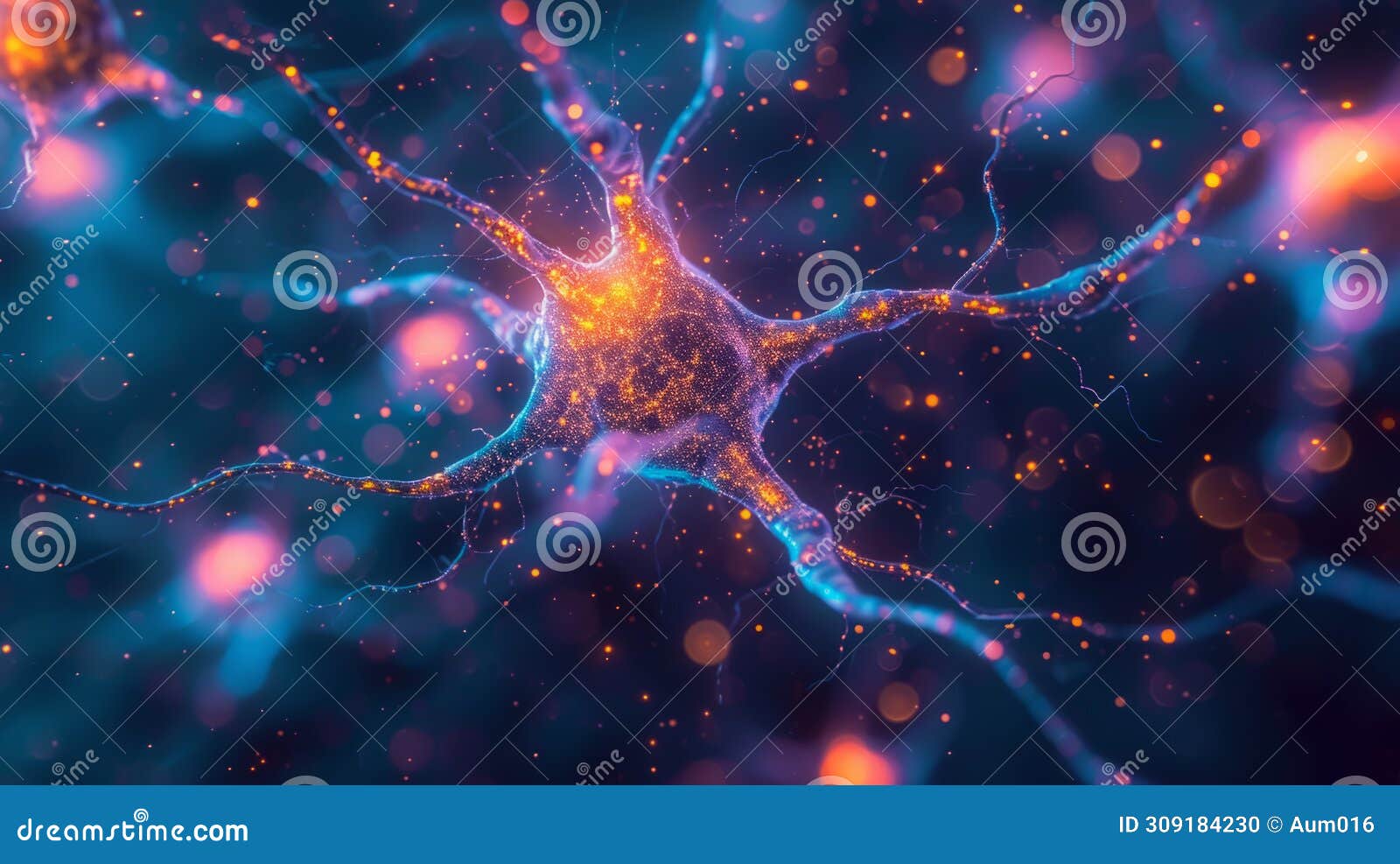 N of Synapses in the Human Brain Stock Illustration - Illustration of ...