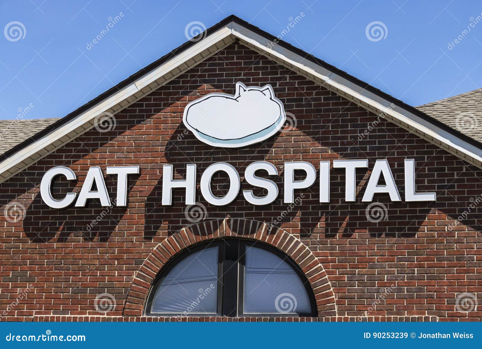 Generic Cat Veterinary and Hospital Sign I Editorial Stock Image ...