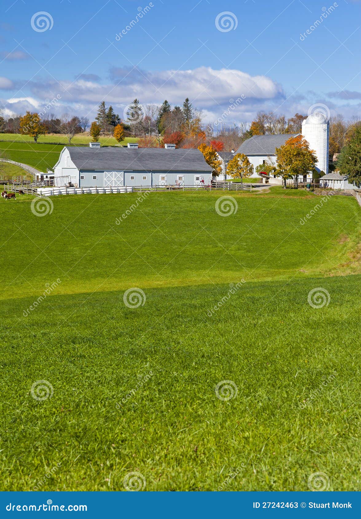 Generic Dairy farm stock image. Image of american, cows - 27242463