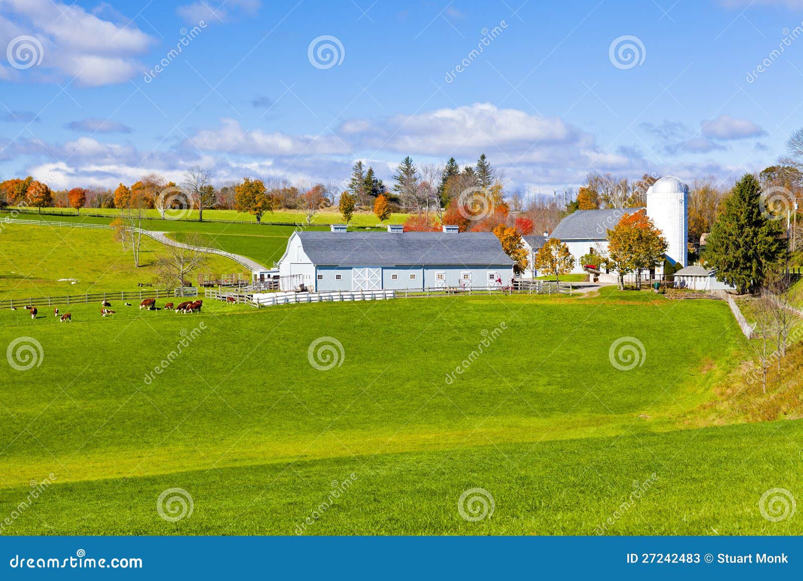 Generic Dairy farm stock image. Image of dairy, farmland - 27242483