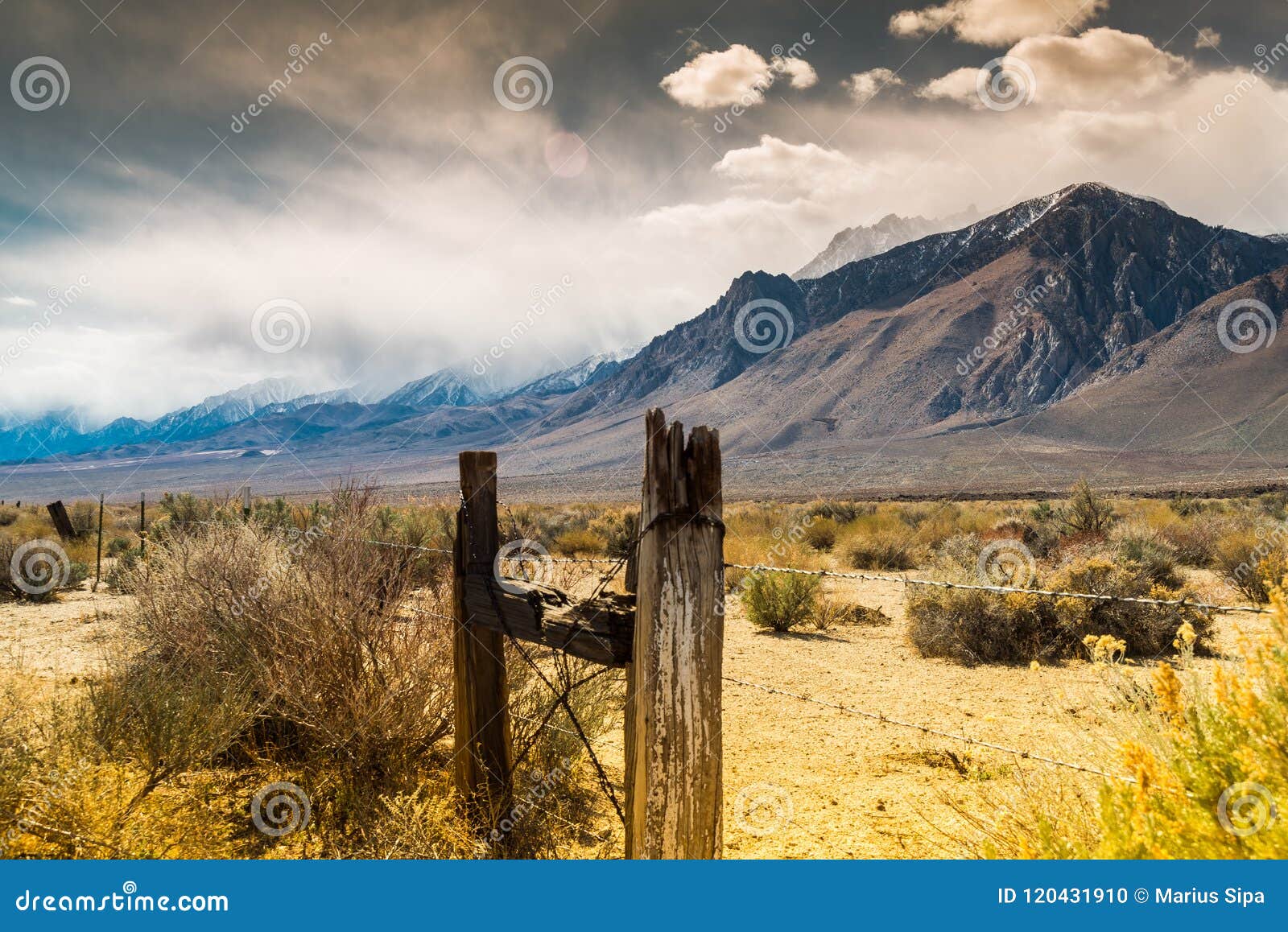 Generic Desert Scene stock photo. Image of phoenix, destination - 120431910