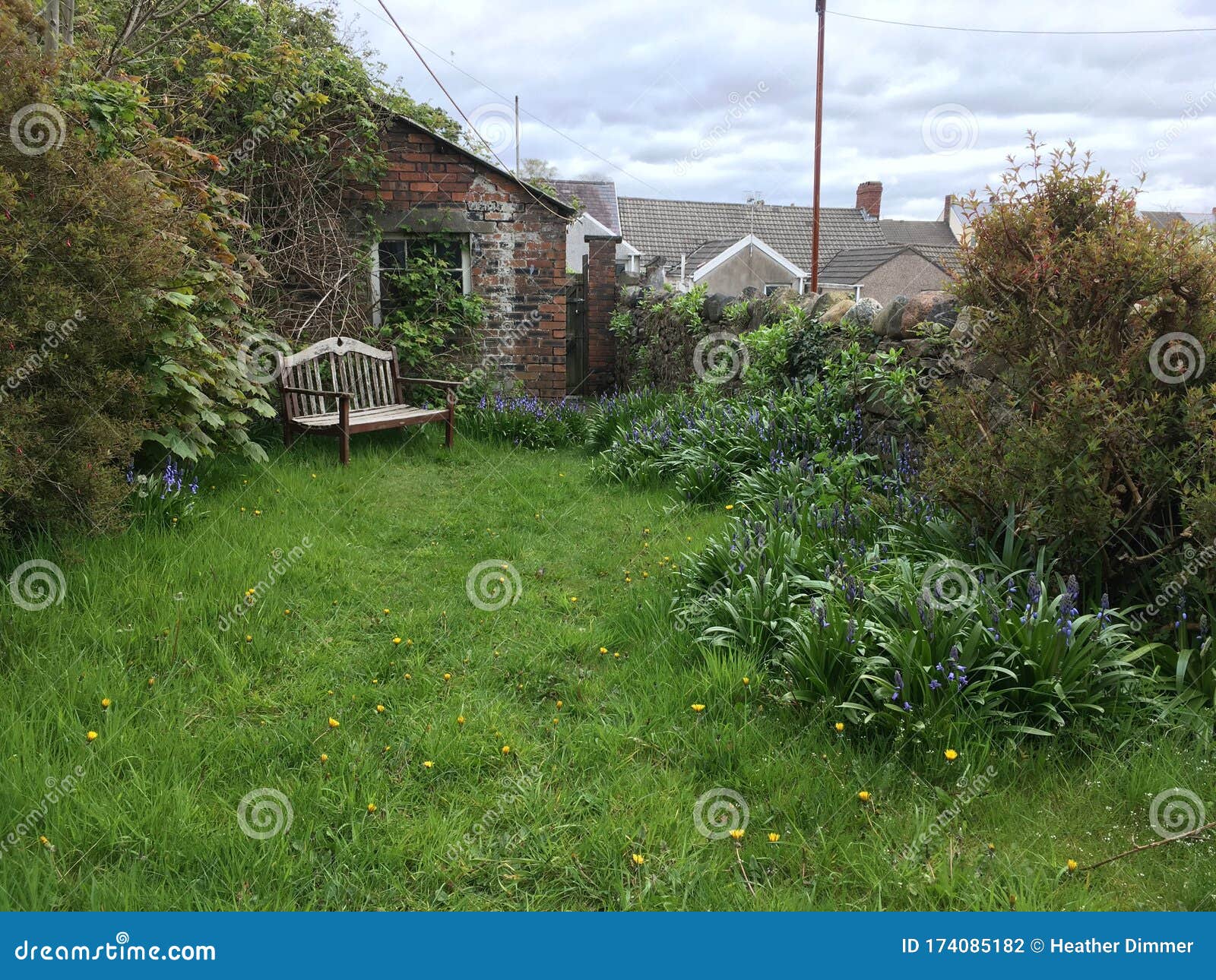 Generic Garden Scene on Summer Day Stock Photo - Image of sycamore ...