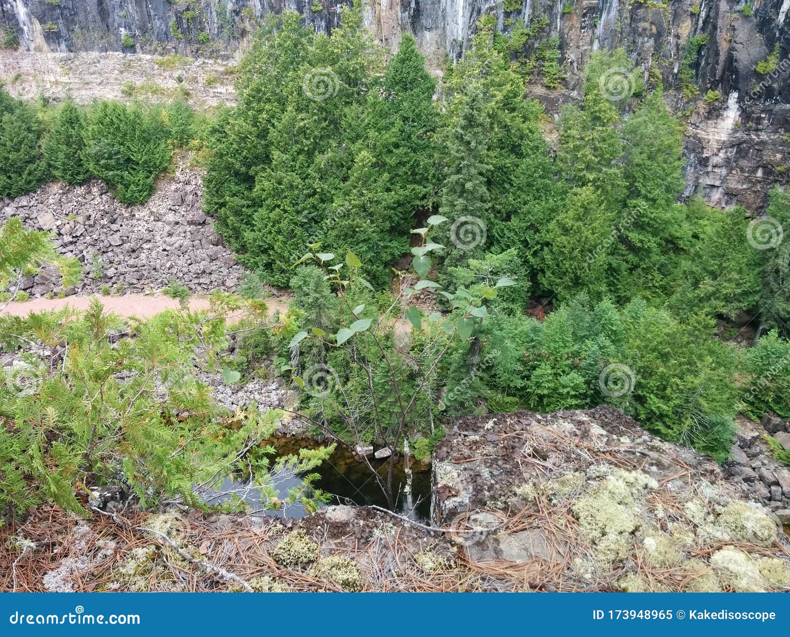 Generic Green Forest and Stones Stock Image - Image of twigs, rocks ...