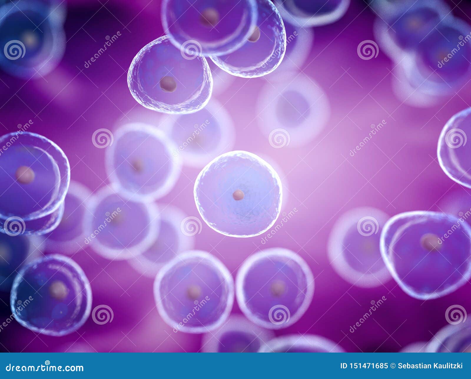 Generic human cells stock illustration. Illustration of microbiology ...