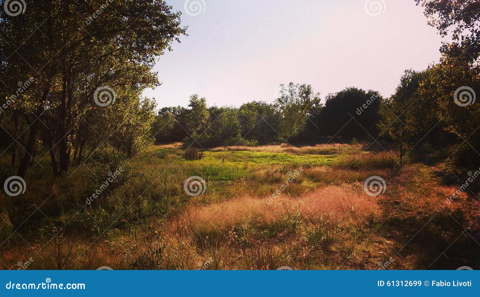 Generic landscape stock image. Image of generic, shot - 61312699