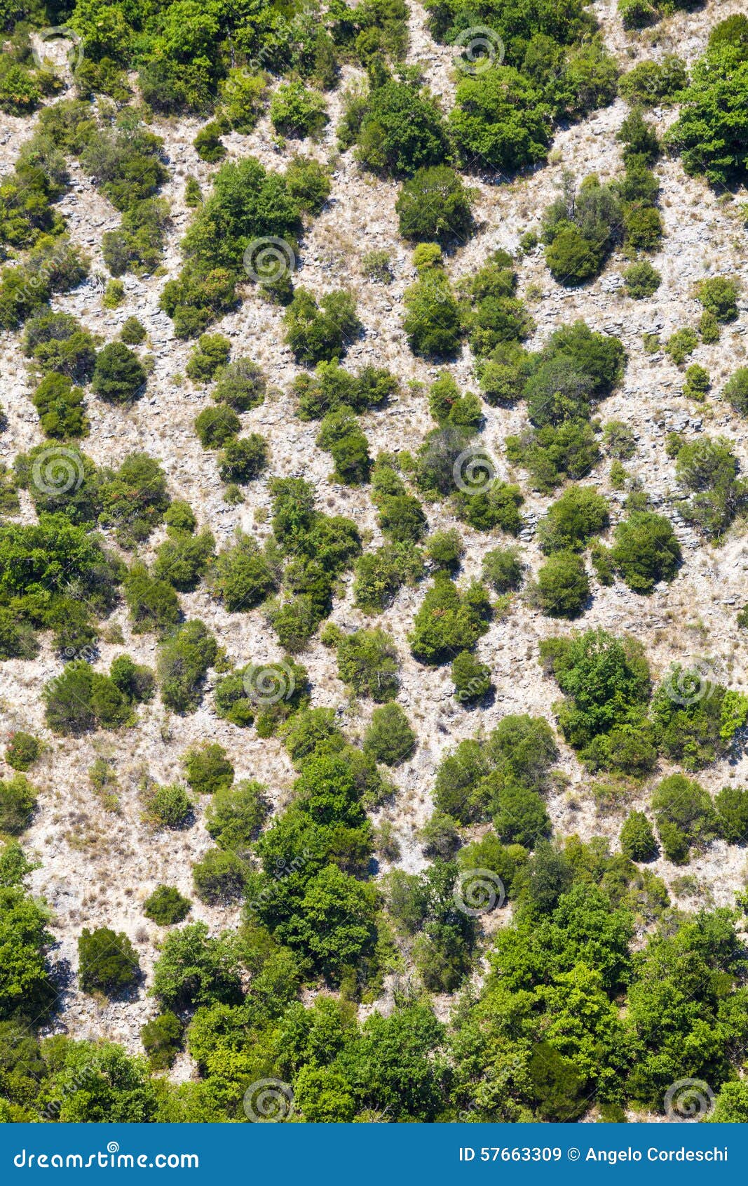 15,086 Italian Vegetation Stock Photos - Free & Royalty-Free Stock ...