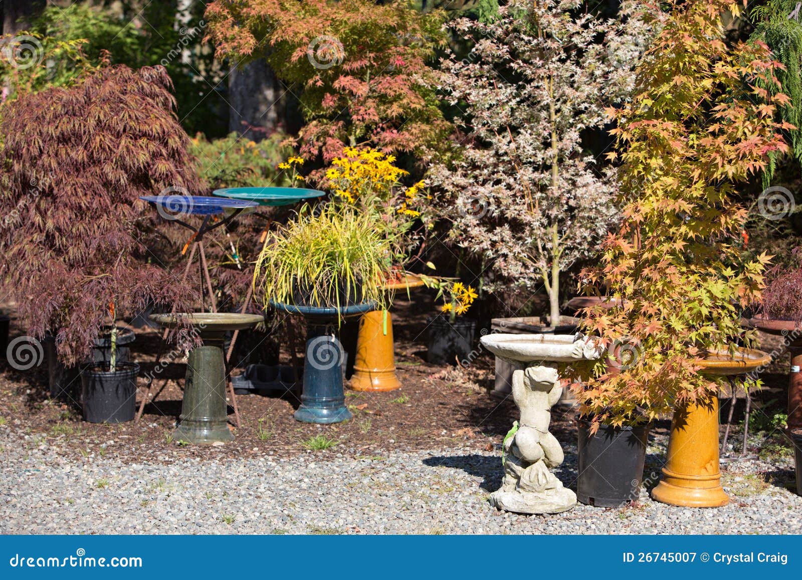 Generic Outdoor Garden Nursery Stock Image - Image of plants, shrubs ...