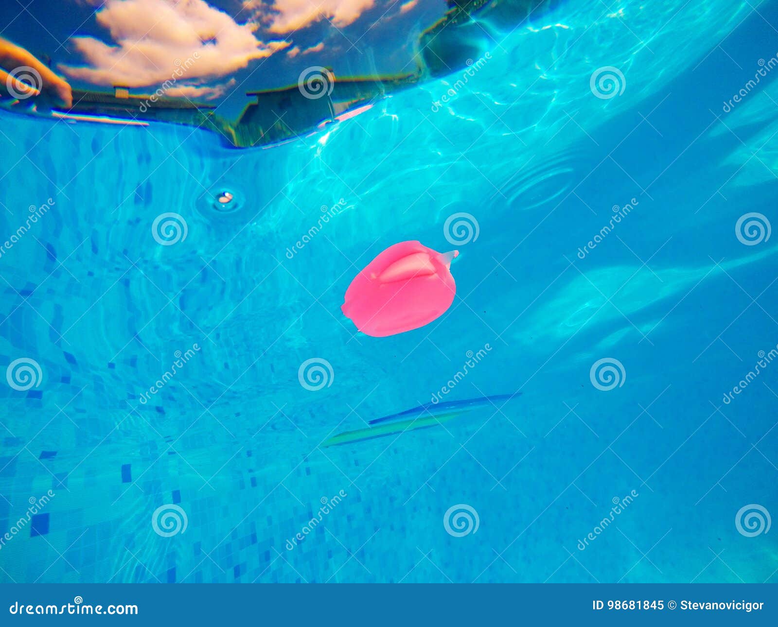 Generic Rubber Fish Toy in Swimming Pool, Underwater View Stock Image ...