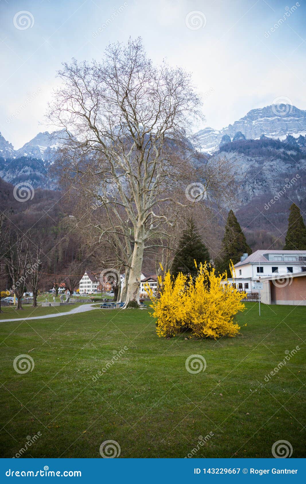 Walensee Beach in Early Spring Stock Image - Image of nature, tourism ...