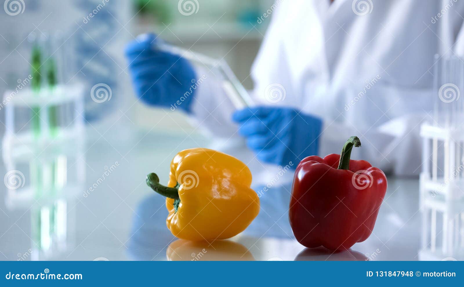 Genetic Breeding Scientist Checking Vegetables on Lab Table, Gmo ...