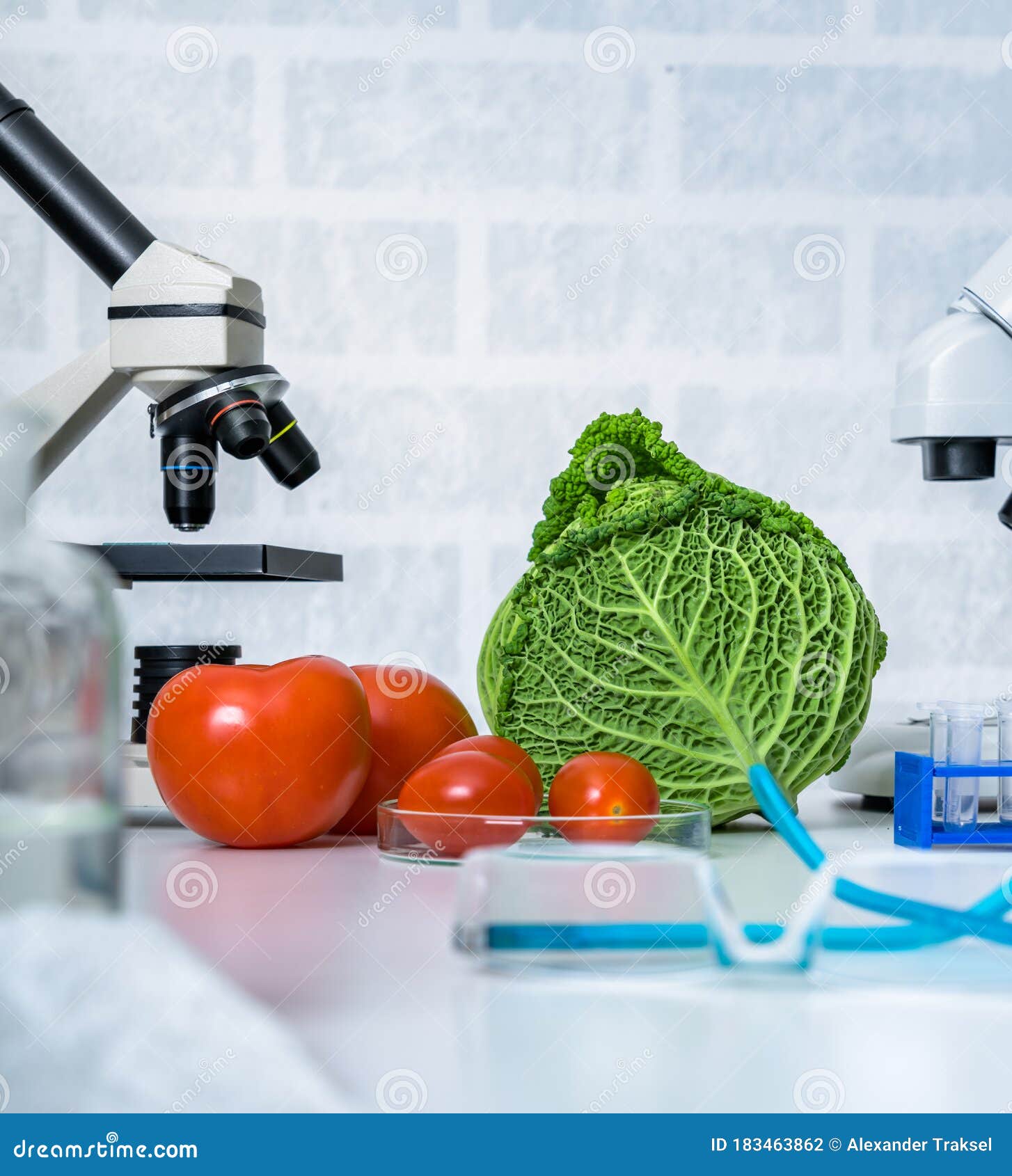 Genetic Breeding of Vegetables in LLaboratory , Analyzing Food Quality ...