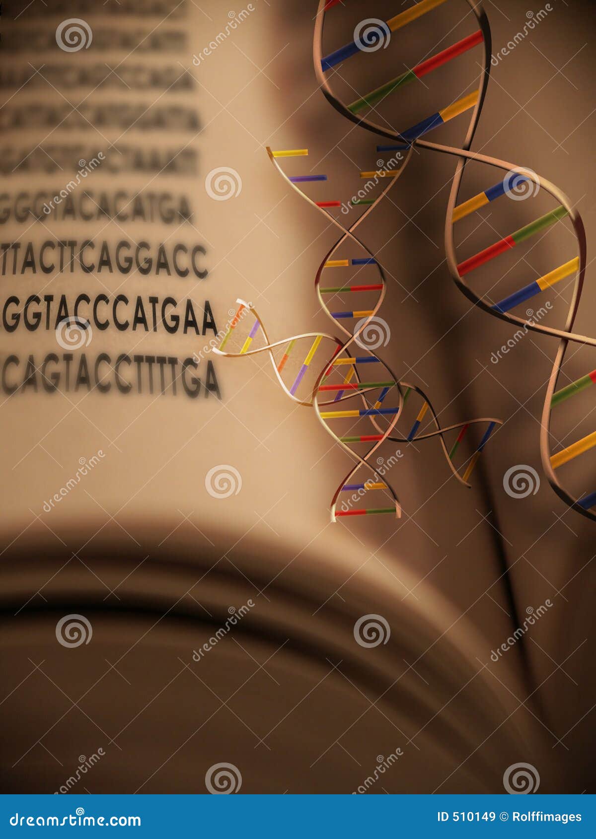 Genetic Code 2 stock image. Image of cellular, genetic - 510149