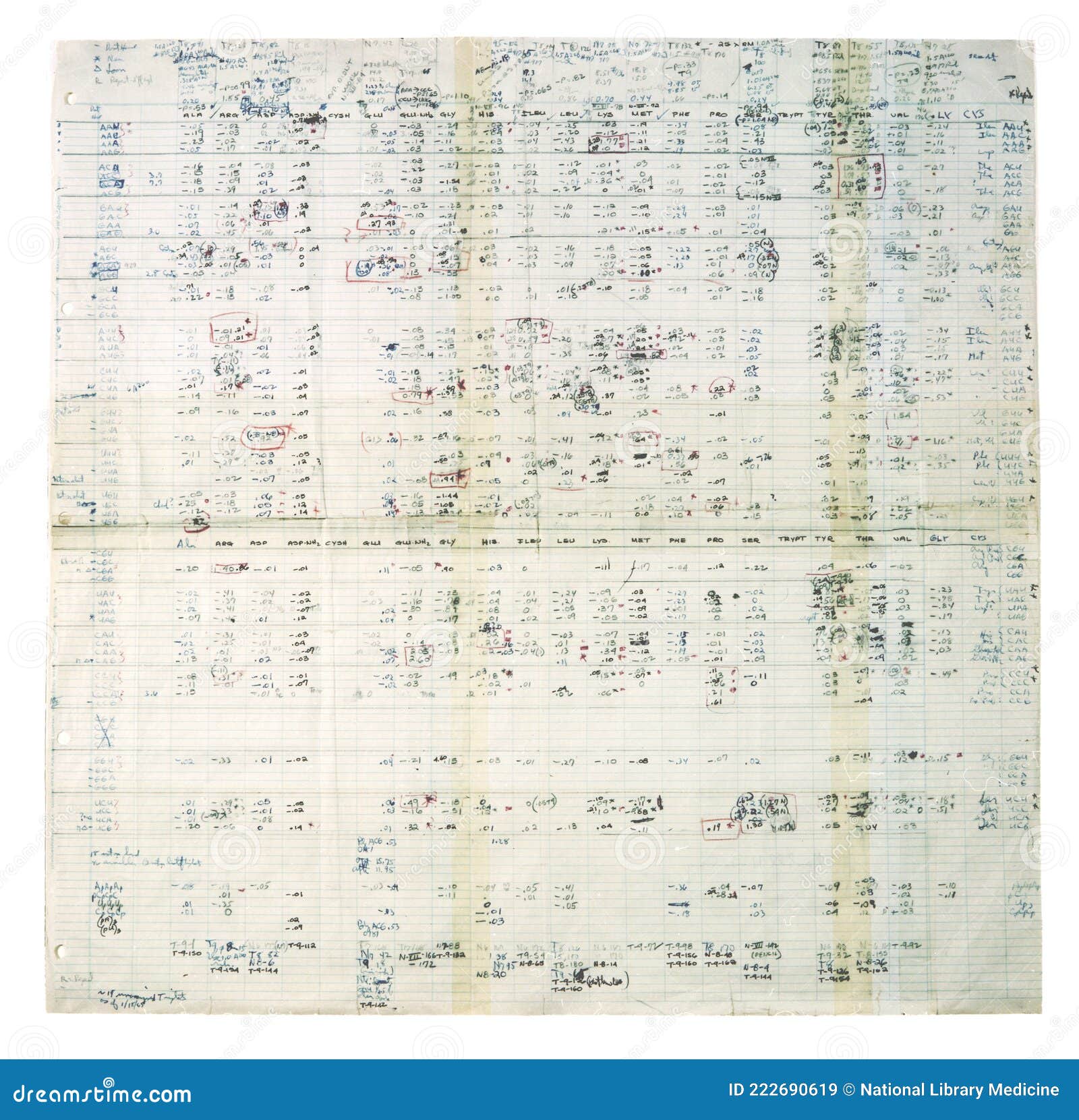 Genetic Code Chart Picture. Image: 222690619