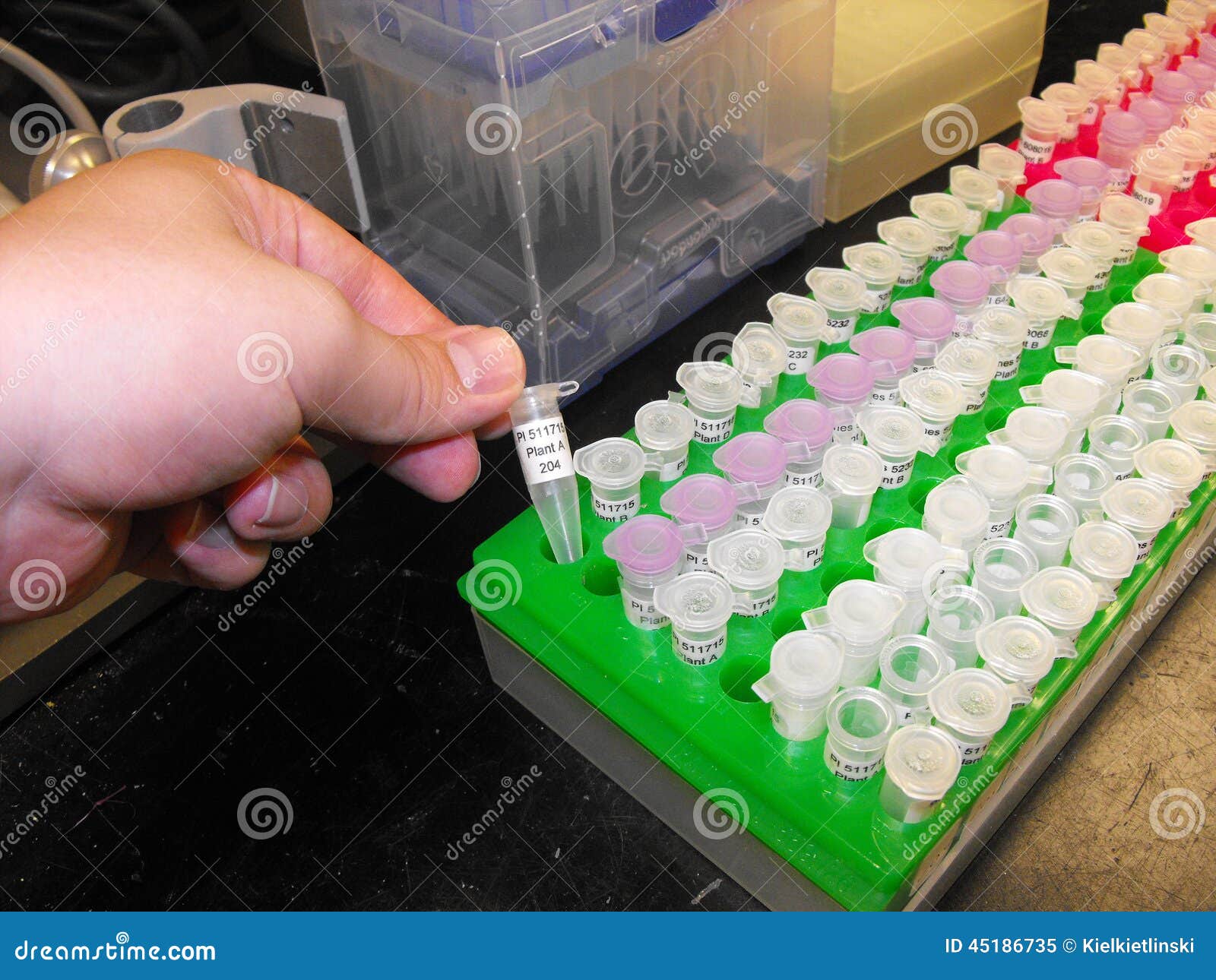 Genetic DNA Samples-laboratory Editorial Image - Image of samples ...